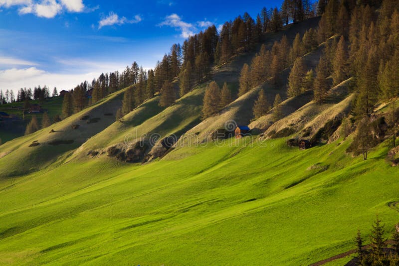 Alpine Meadow in the Spring Sunshine Stock Image - Image of panorama ...