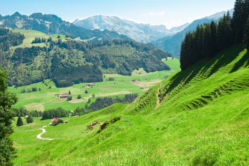 Alpine meadow in summer stock image. Image of clouds - 10652203