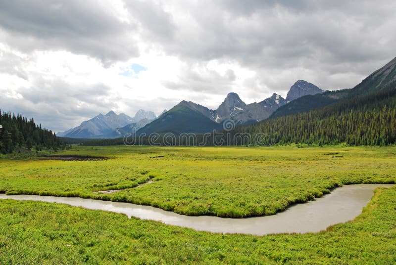 Alpine Meadows stock photo. Image of summer, grass, mountains - 1863720