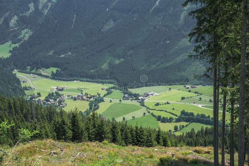 Alpine meadows stock image. Image of cloud, green, pasture - 53501657