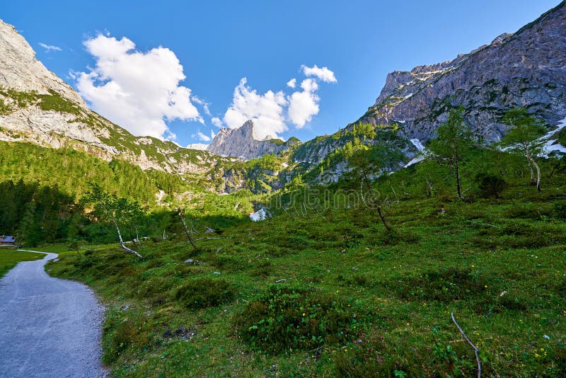 Alpine Meadows in Summer. Hinterer Gosausee, Salzkammergut Stock Image ...