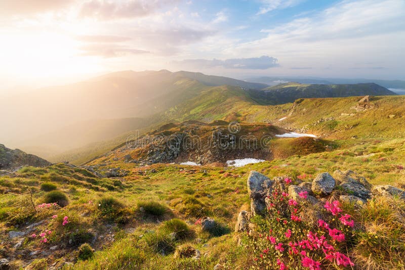 Alpine mountain hills stock photo. Image of panorama - 76069604