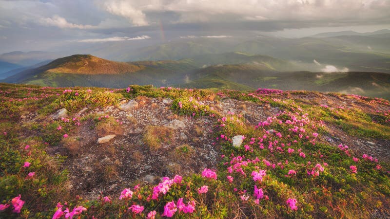 Alpine mountain hills stock photo. Image of landscape - 76069658