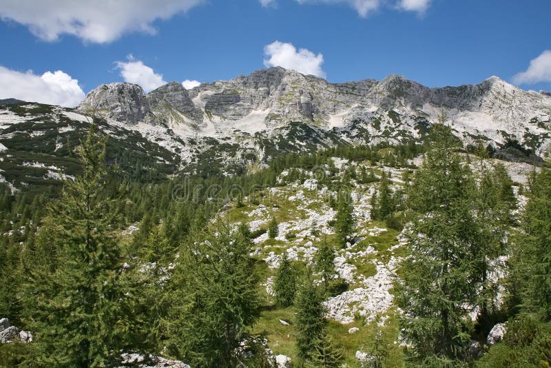 Alpine mountain stock photo. Image of landscape, forest - 49048110