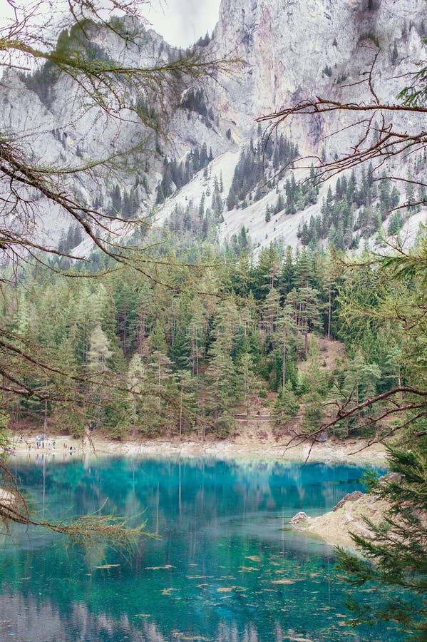 Natural stock image. Image of austrian, green, relaxing - 100909799 Natural stock image. Image of austrian, green, relaxing - 100909799