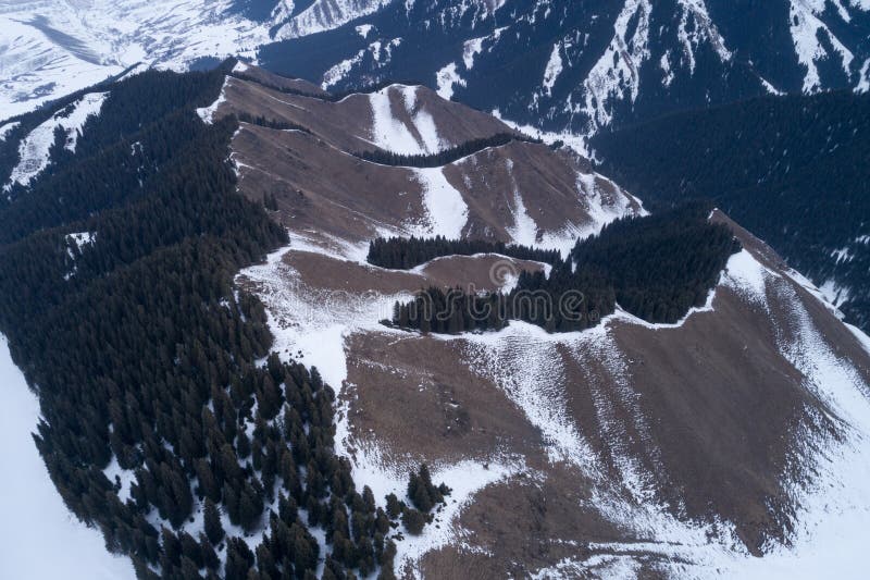 Alpine Mountains and Forest Stock Image - Image of powder, alpine ...