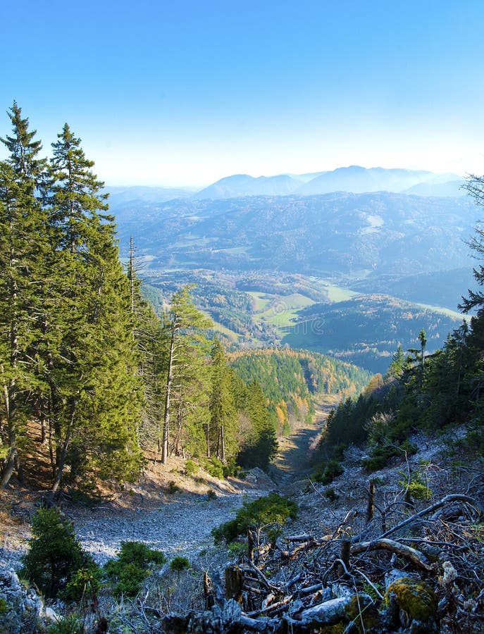 Alpine Mountains Forest Scene Stock Image - Image of cliff, woods: 27742999