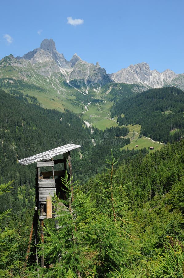 Alpine nature stock photo. Image of forest, blue, nature - 26628330