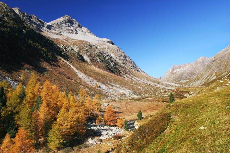 Alpine Nature Picture. Image: 6896553