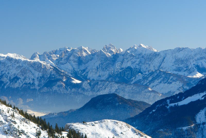 Snowy Alpine Trees XI stock photo. Image of cold, landscape - 36268486
