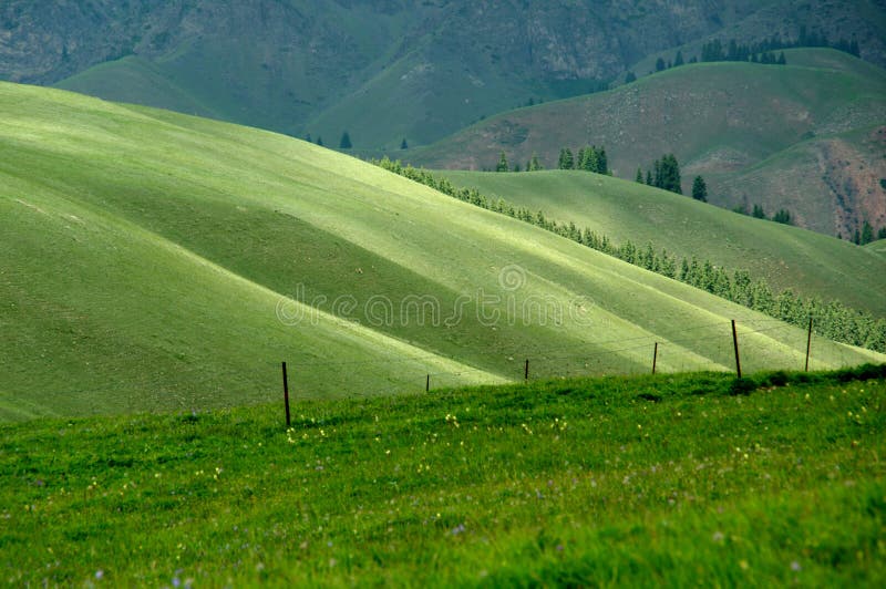 Alpine pasture stock image. Image of blue, summer, green - 24091223