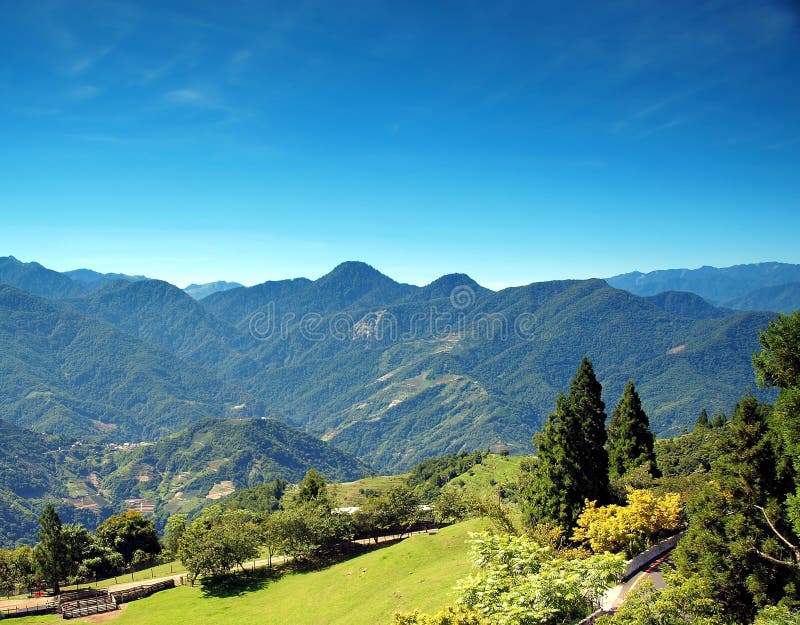 Alpine Pasture in the Mountains Stock Photo - Image of blue, horizon ...