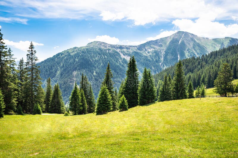 Alpine Pastures and Grasslands of the Alptal Valley and on the ...