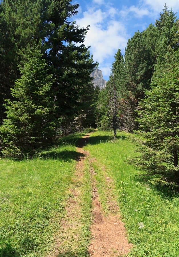 Alpine path stock photo. Image of forest, sunlight, nature - 30614374