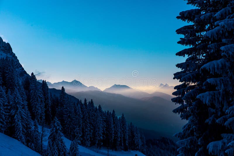Alpine Pine Forest with Hazy Mountains Stock Image - Image of europa ...
