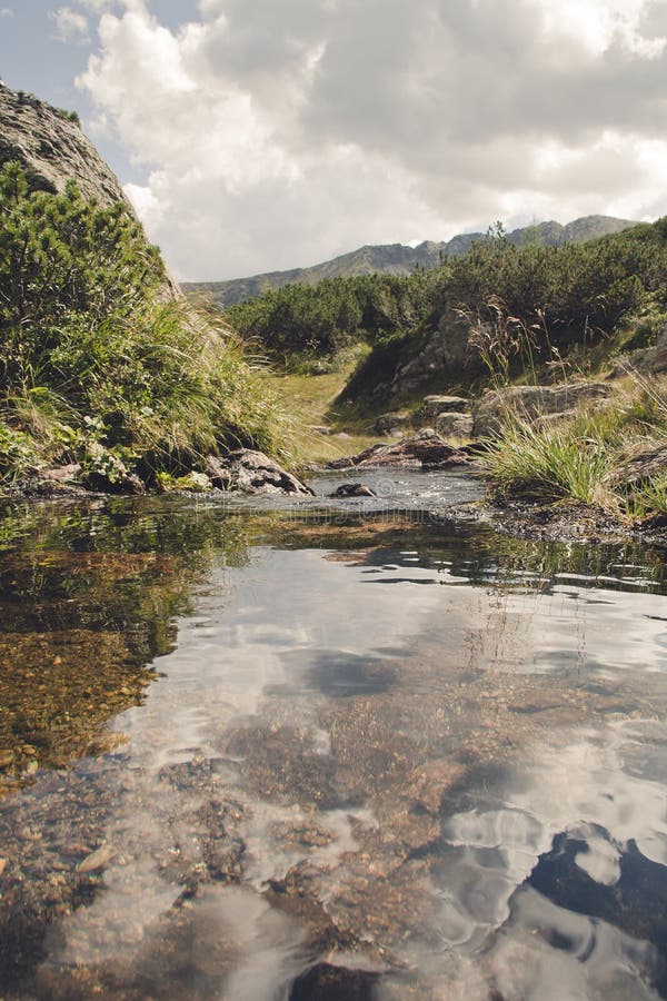 Alpine pond stock image. Image of swimming, bath, pond - 98093187