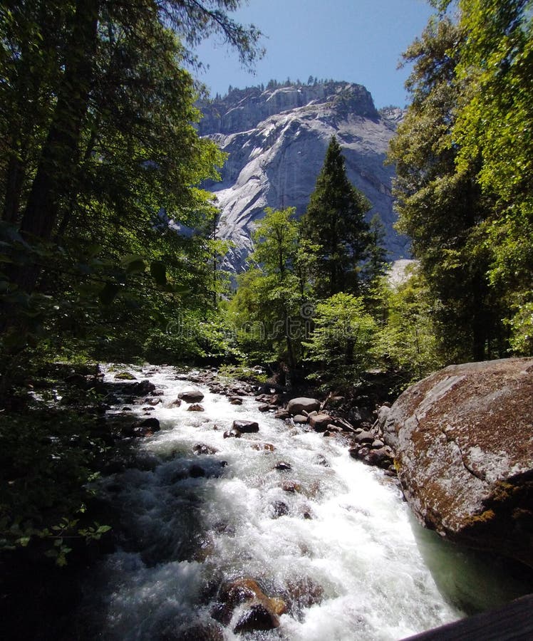 Alpine River Flowing through Forest Stock Image - Image of scenic ...