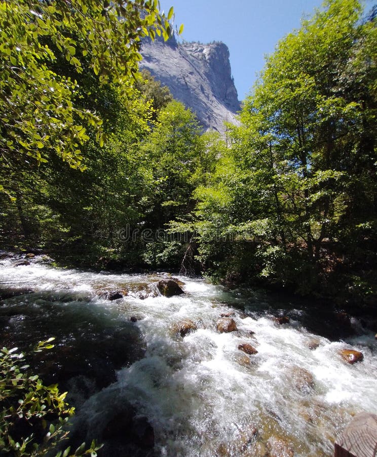 Alpine River Flowing through Forest Stock Image - Image of water ...