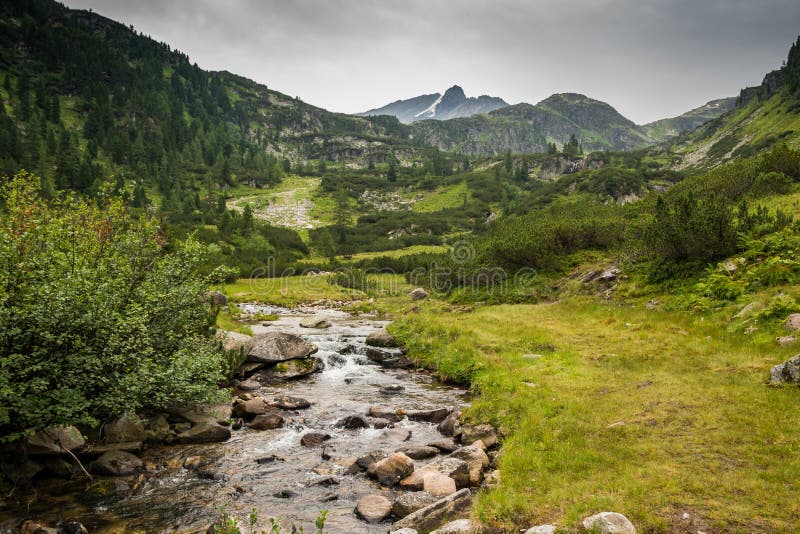 Alpine River Flowing from Mountains Stock Photo - Image of scene ...