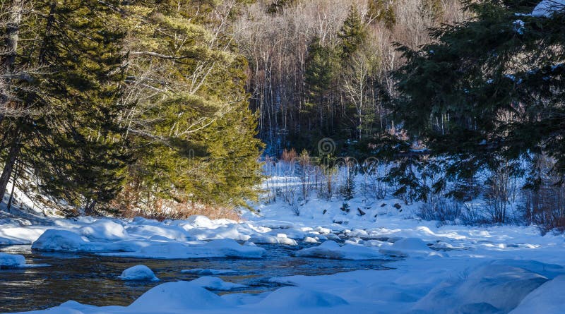 Alpine River stock image. Image of tree, green, road - 97123789