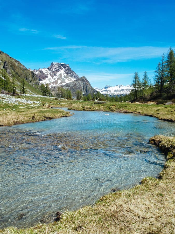 Alpine River Stream Flowing among Alpine Meadows of the Devero a Stock ...