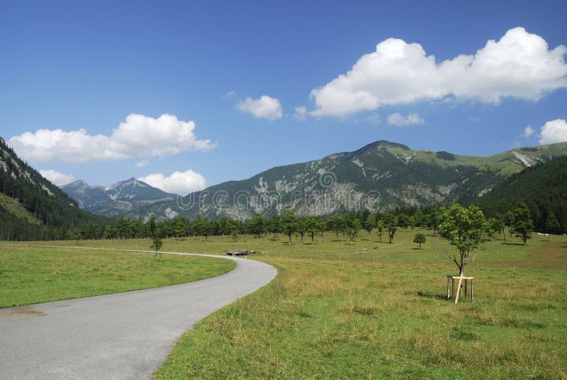 Alpine road stock photo. Image of austria, pasture, trail - 10904520
