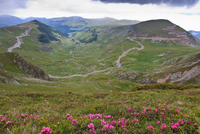 Alpine road stock photo. Image of morning, nature, beautiful - 20140392
