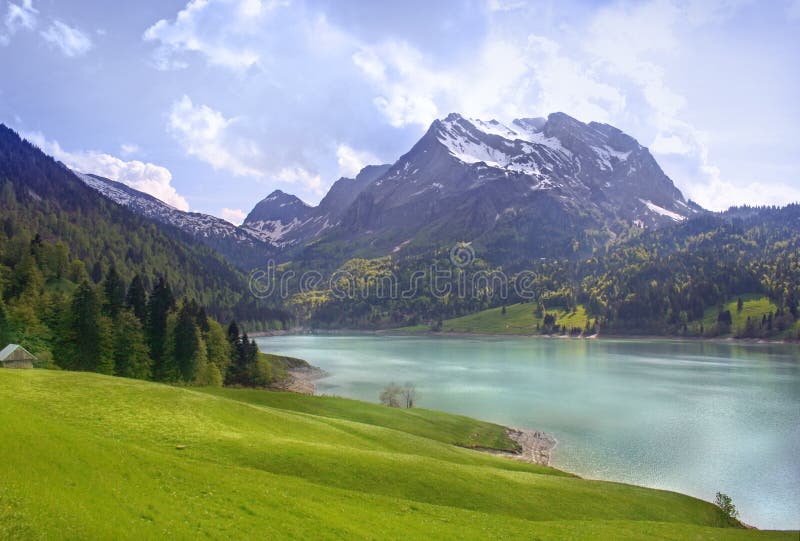 Alpine scene stock photo. Image of spring, hillside, dandelion - 4224856