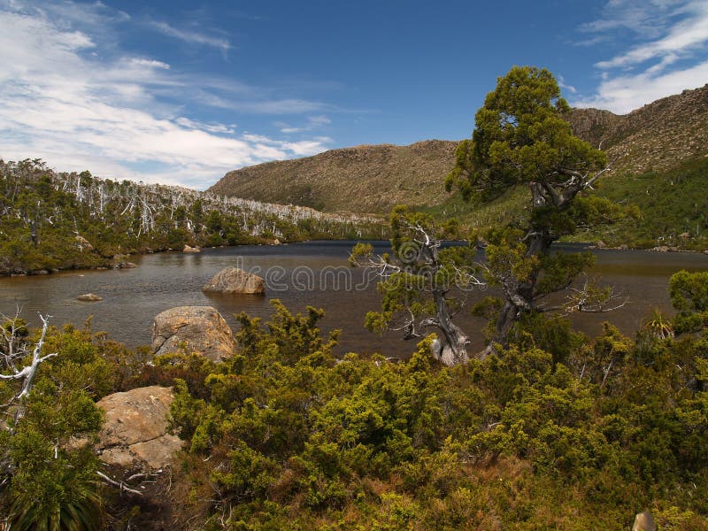 Alpine Scenery in Mt Field National Park Stock Photo - Image of alpine ...