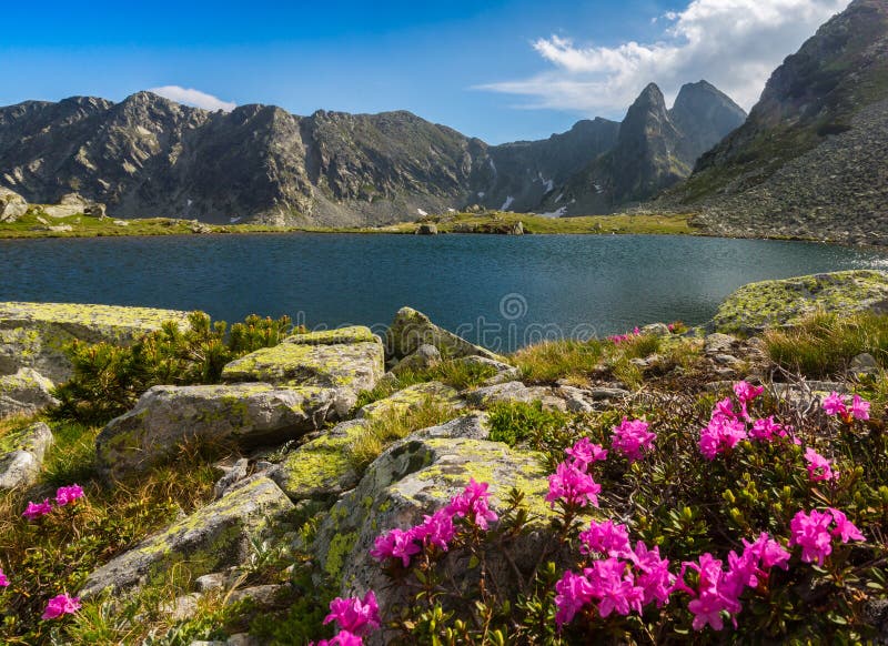 Alpine Scenery in the Summer, in the Transylvanian Alps Stock Photo ...