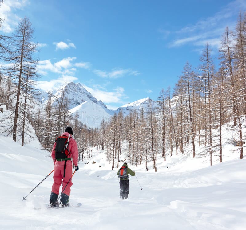 Alpine skiing stock image. Image of sport, cold, freeze - 7914295