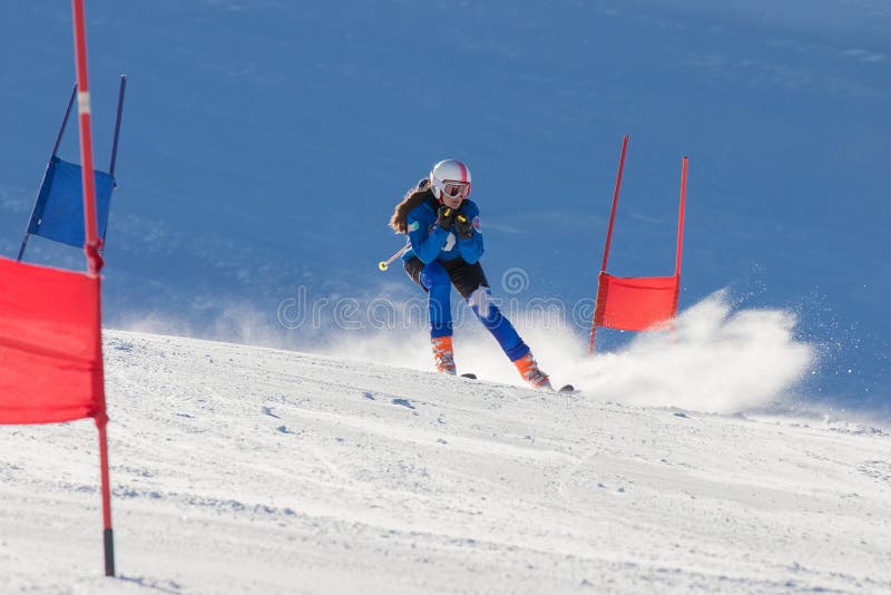 Alpine skiing competition stock image. Image of fast - 173975871