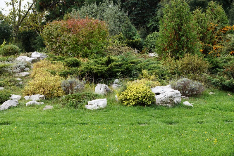 Alpine Slide of Evergreens in the Landscape Design of the Park Stock ...