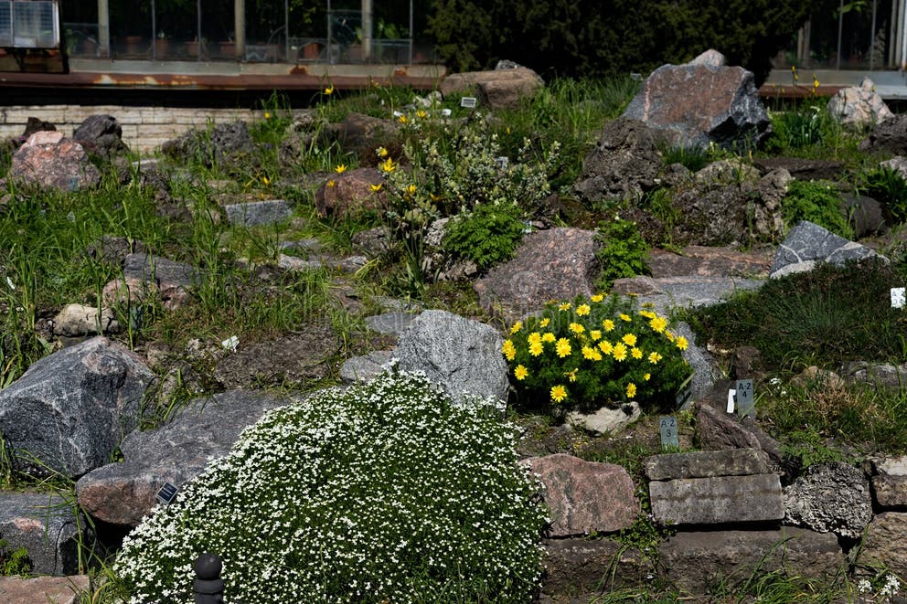 Alpine slide in the garden stock photo. Image of nature - 319178958