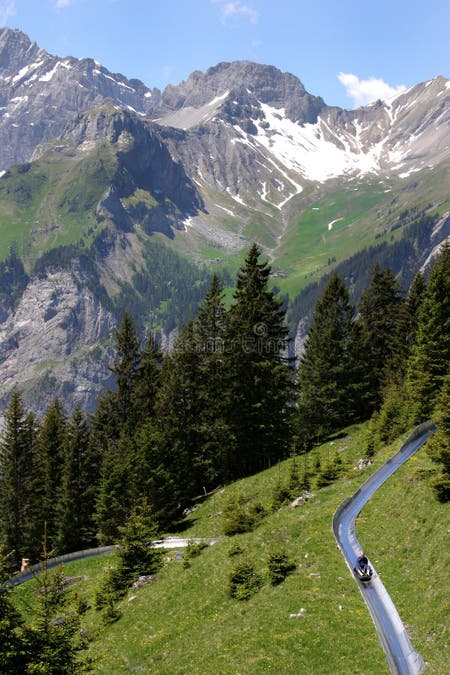 Alpine Slide in the Swiss Alps Stock Image - Image of trees, alpine ...