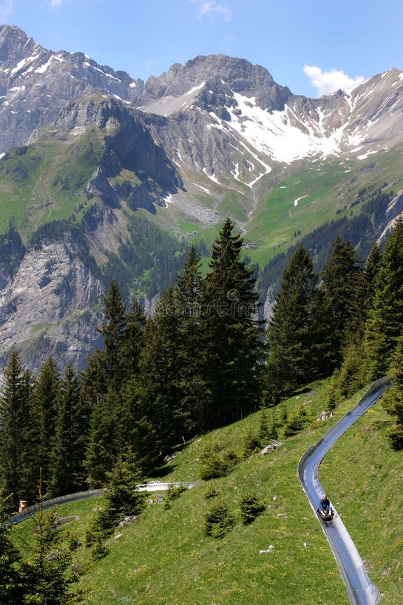 Alpine Slide in the Swiss Alps Stock Image - Image of trees, alpine ...