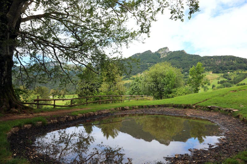 Alpine Small Pond and the Reflection of Mountains on the Water Stock ...
