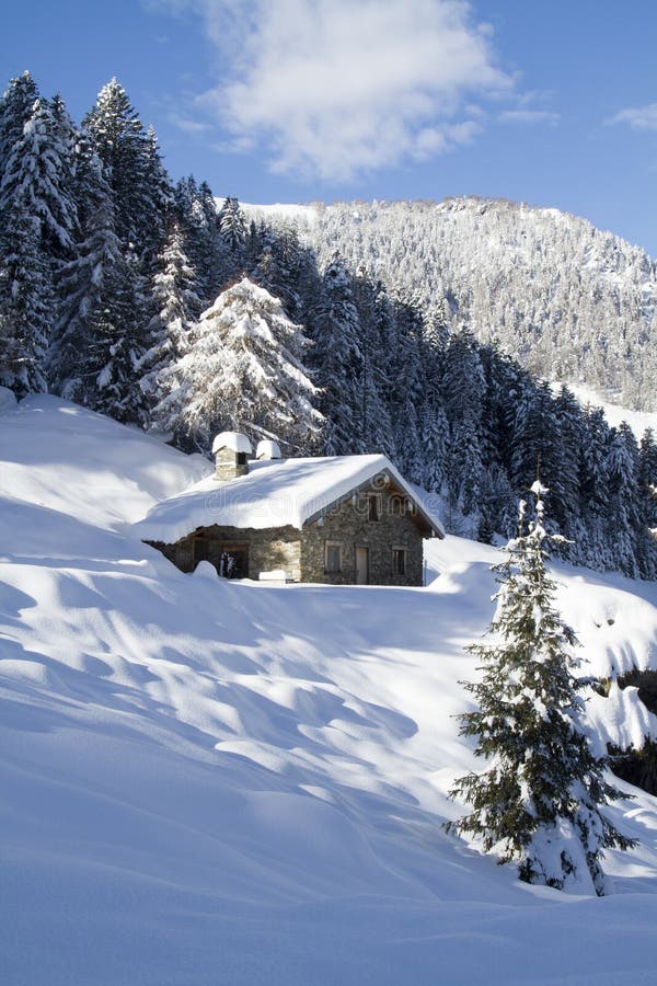 Fun in the snow stock photo. Image of glasses, fast, play - 8264900