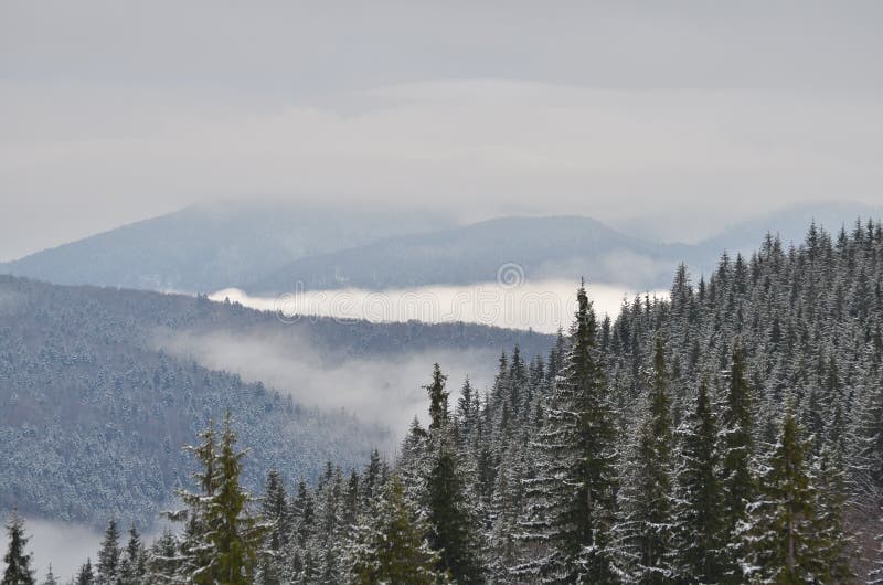Alpine stock image. Image of foggy, frost, blizzard, path - 52013019