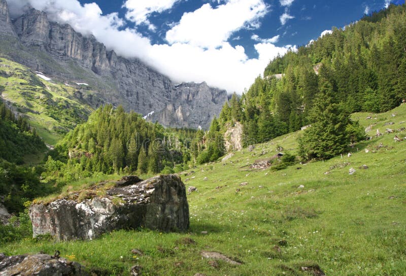 Spring alpine stream stock image. Image of natural, morning - 4606595