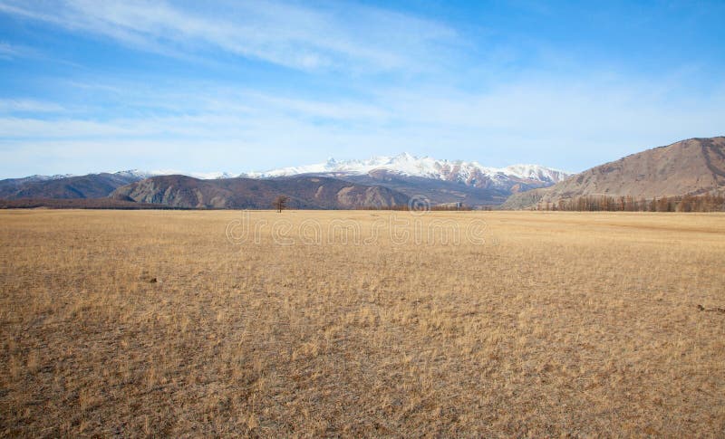 Alpine steppe stock photo. Image of blue, landscape, green - 21619340