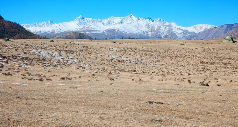 Alpine steppe stock image. Image of altai, range, outdoors - 26731885