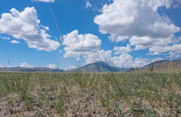 Alpine steppe stock photo. Image of arid, valley, outdoors - 111100964