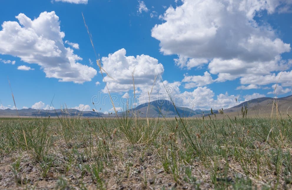 Alpine steppe stock photo. Image of arid, valley, outdoors - 111100964