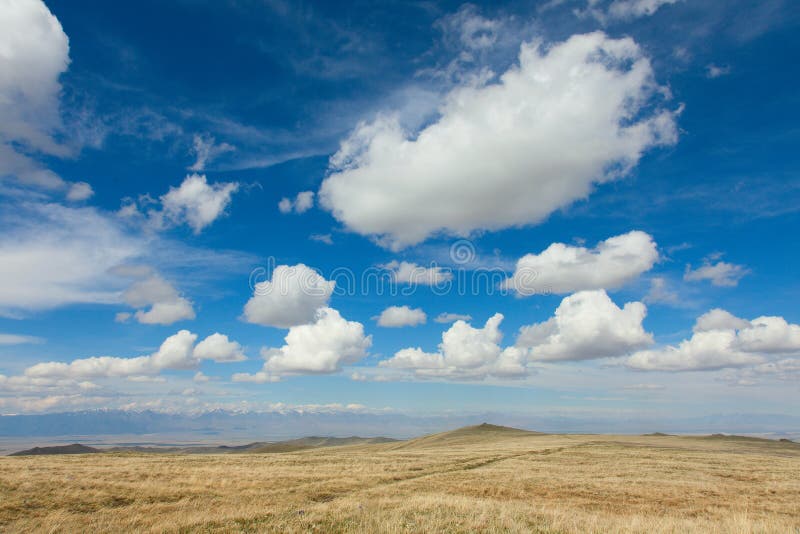 The Alpine Steppe in the Mountains of Central Asia Stock Photo - Image ...