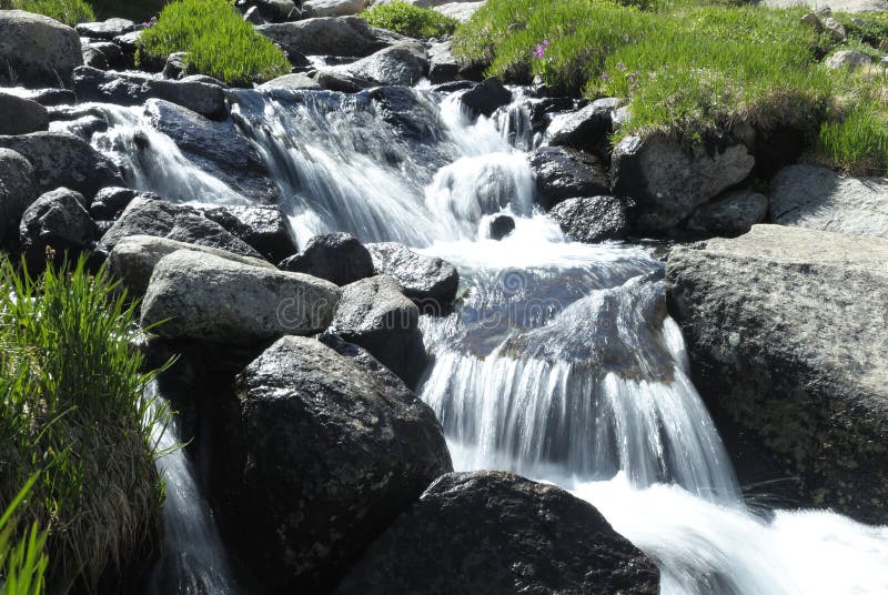 Alpine Stream in Colorado Rocky Mountains Stock Image - Image of rugged ...