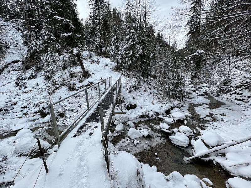 Alpine Stream Fallbach Dressed in First Winter Snow, on the Slopes of ...