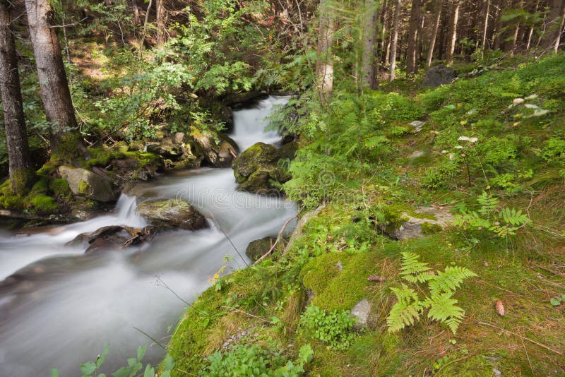Alpine stream stock photo. Image of long, exposure, calm - 49347108