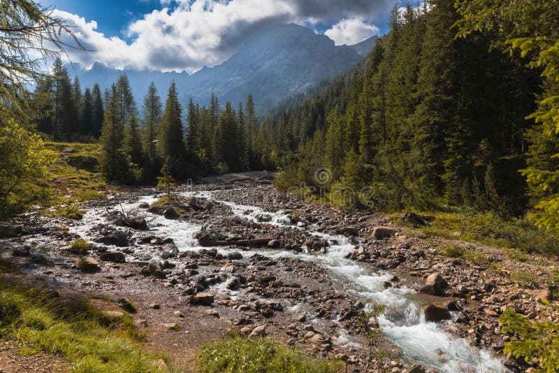 Alpine stream stock image. Image of alpine, flowing - 383073717