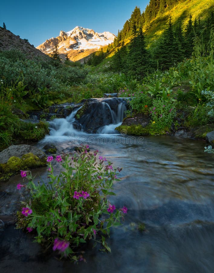 Mt Hood Alpine Mountain Geology Glacier Snow Stock Image - Image of ...